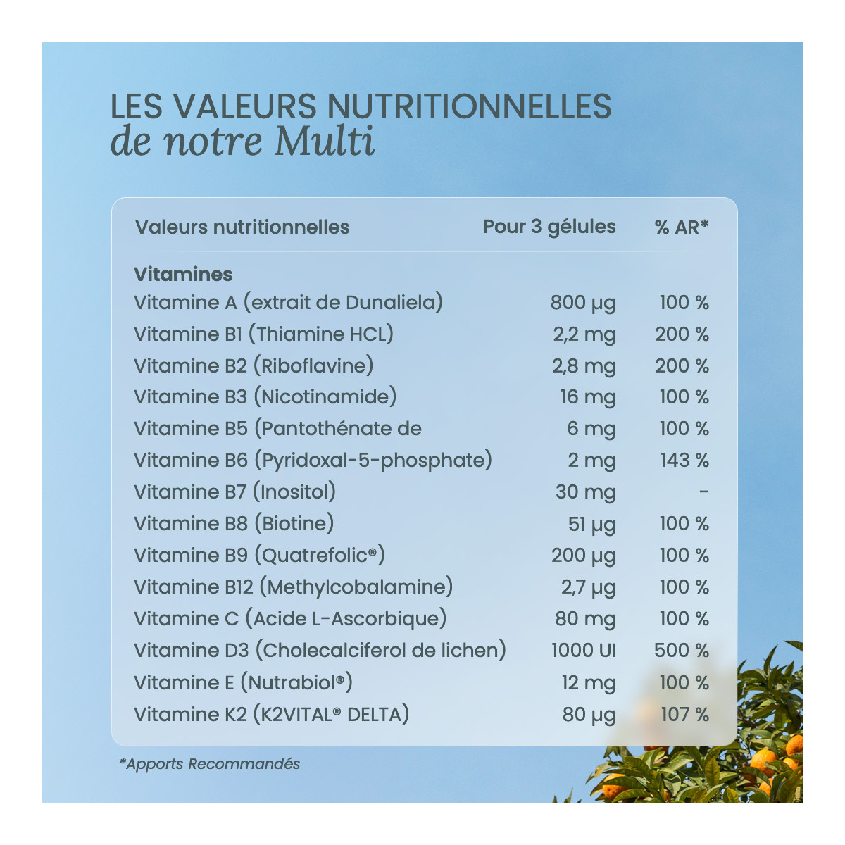 Multivitamines en gélule : 14 vitamines 3 minéraux hautement bioactifs