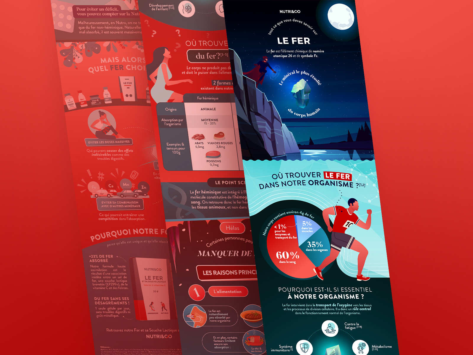 Infographie sur le Fer alimentaire pour tout savoir de cet oligo-élément