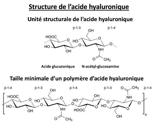Acide Hyaluronique en gélule : achat du complément alimentaire Nutri&Co